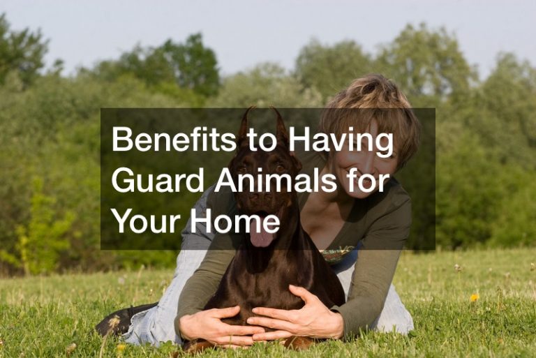Benefits to Having Guard Animals for Your Home - Vets Pet
