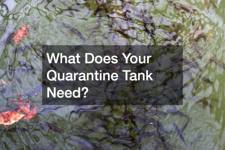 What Does Your Quarantine Tank Need? - Vets Pet